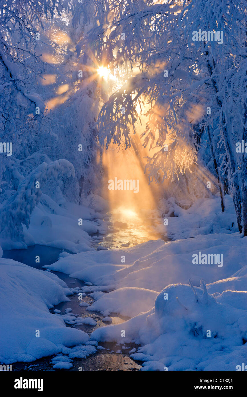 Small stream in hoarfrost covered forest rays sun filtering through fog ...