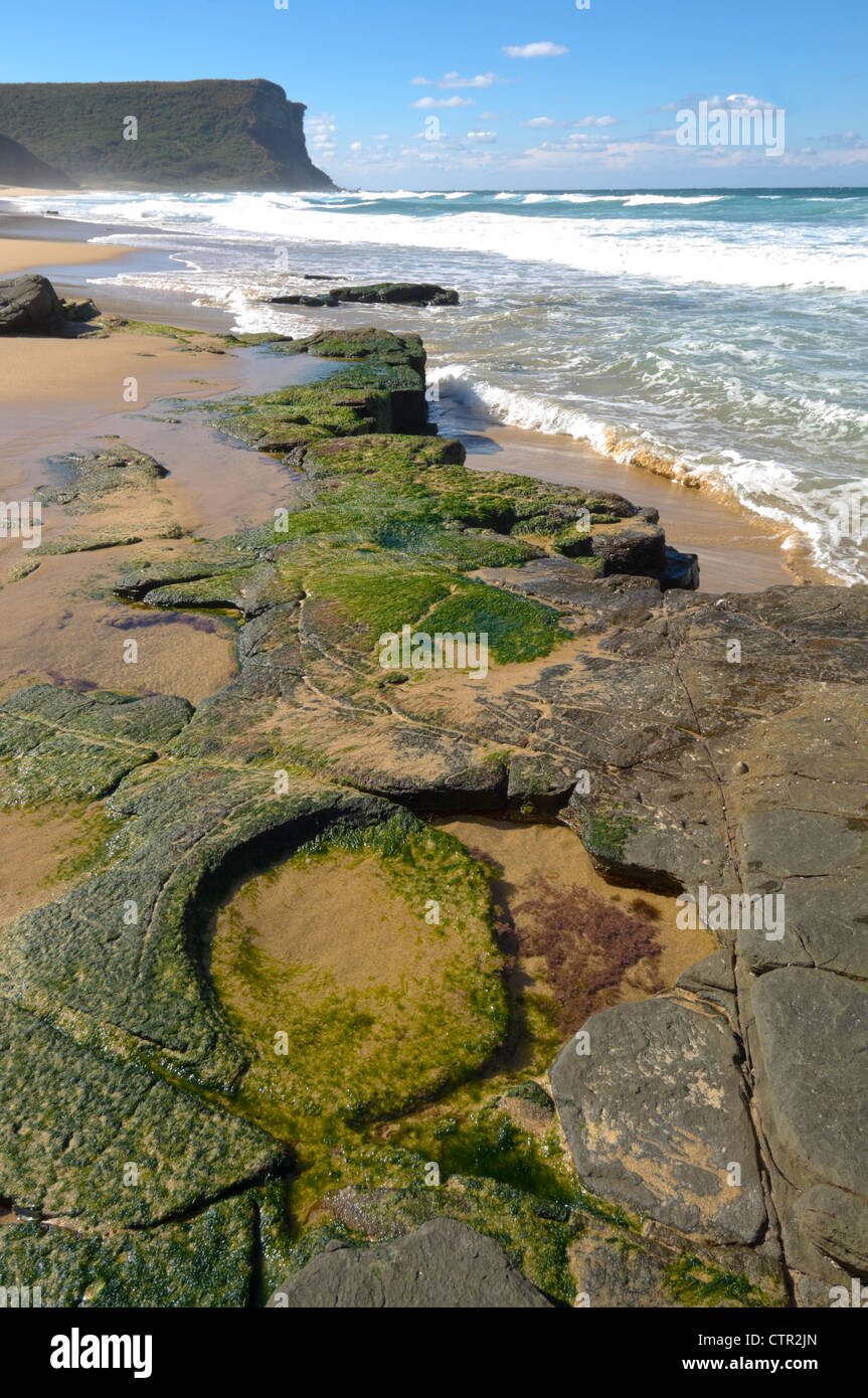 Royal National Park, Little Garie Beach, New South Wales, Australia ...