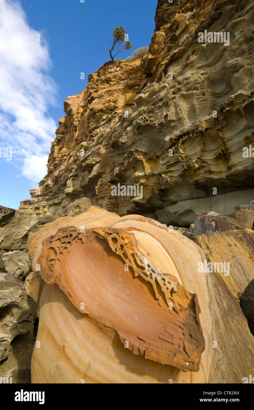 Colourful Sandstone Cliff, Triassic Period, Royal National Park, New ...