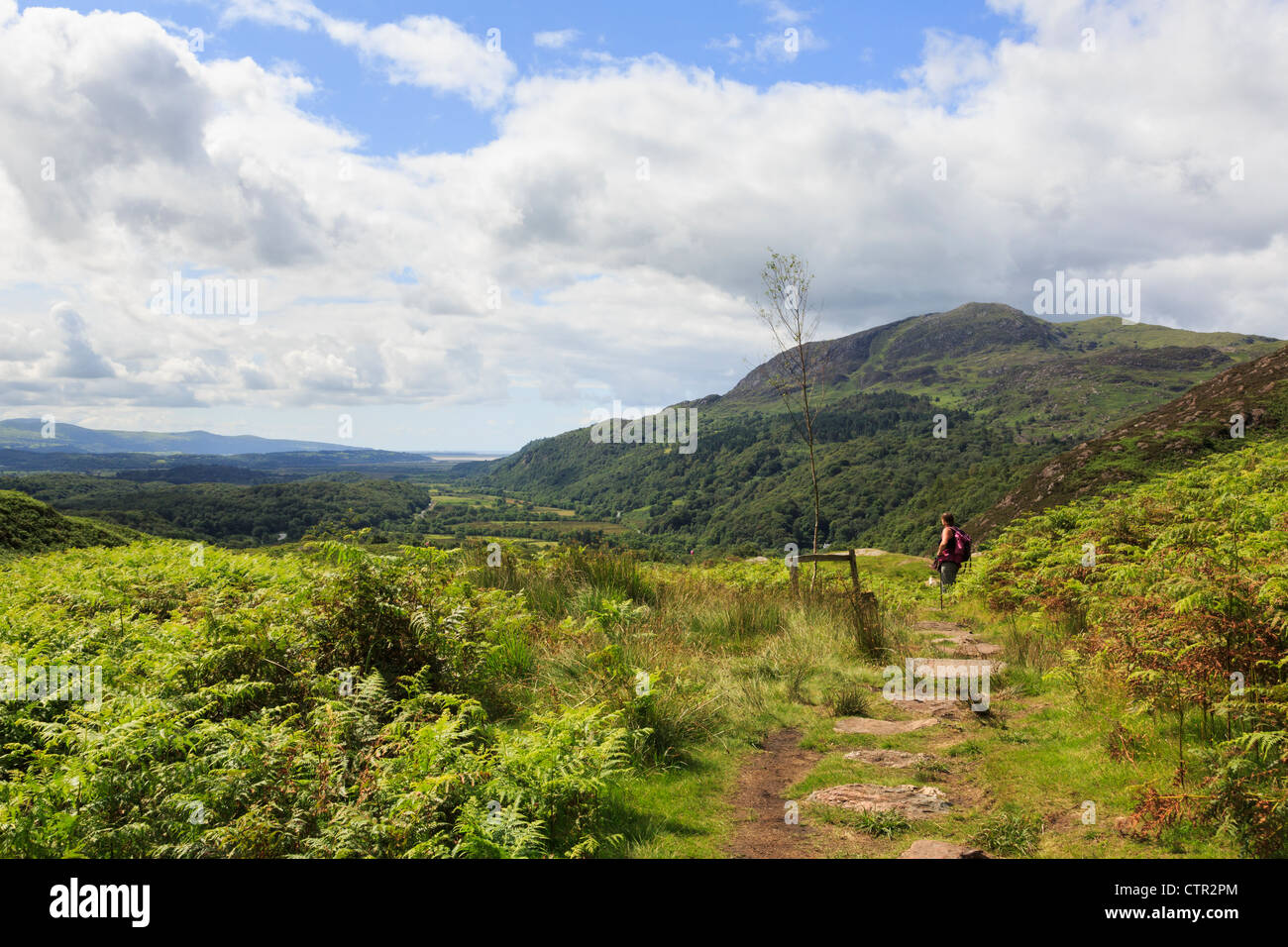Cwm bychan hi-res stock photography and images - Alamy