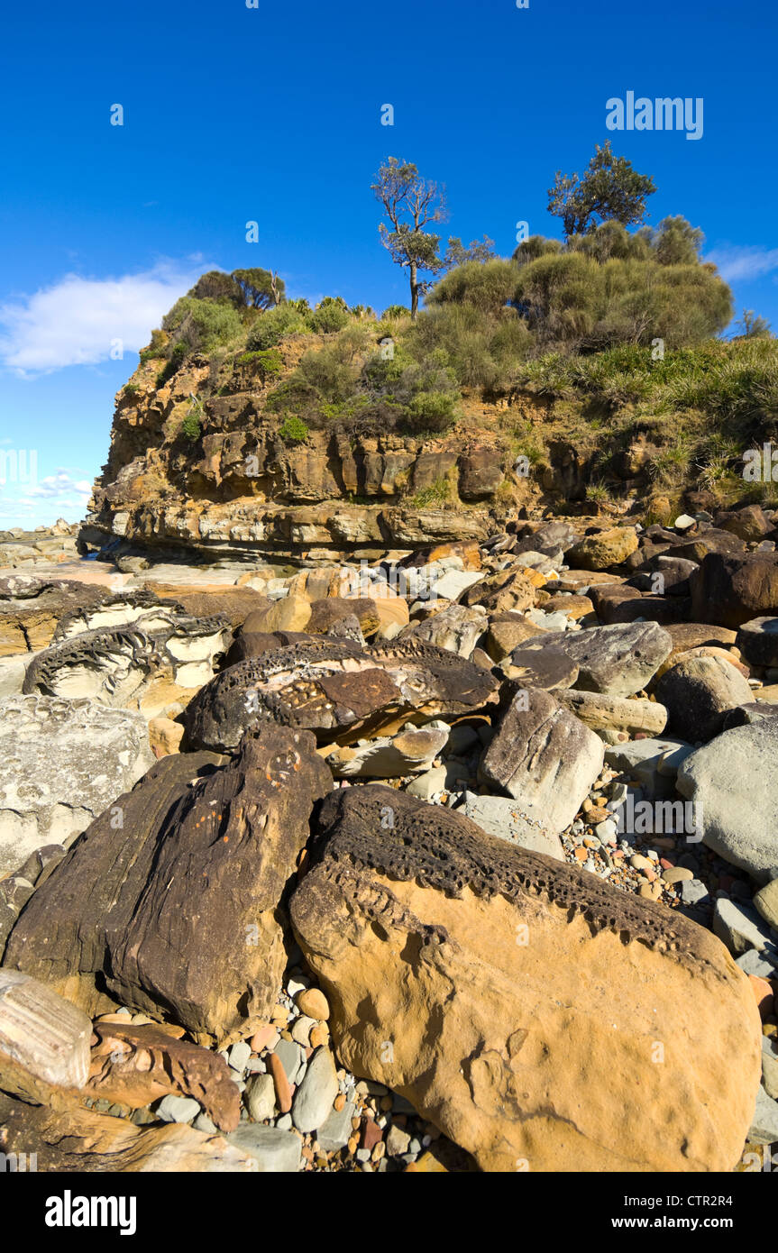 Triassic landscape hi-res stock photography and images - Alamy