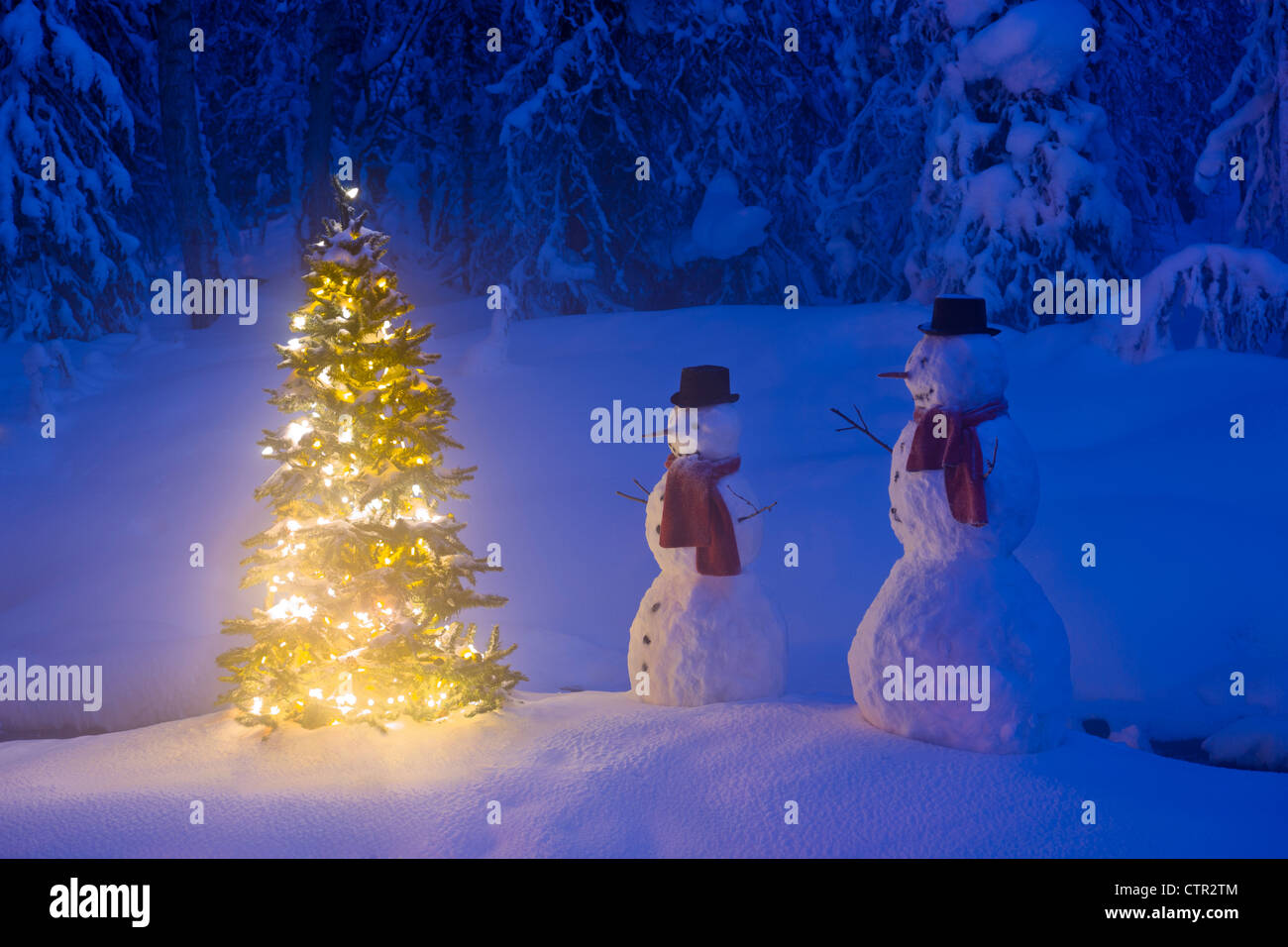 Two snowmen standing next Christmas tree on snow covered island in ...