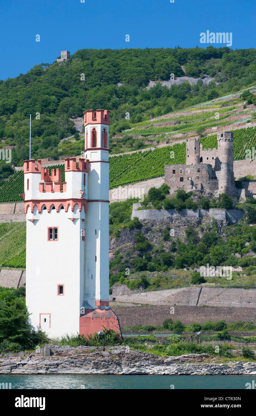Historic Ehrenfels Castle and Mauseturm or Mouse Tower at Bingen on ...