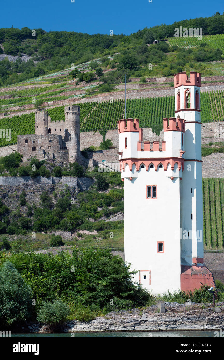 Historic Ehrenfels Castle and Mauseturm or Mouse Tower at Bingen on ...