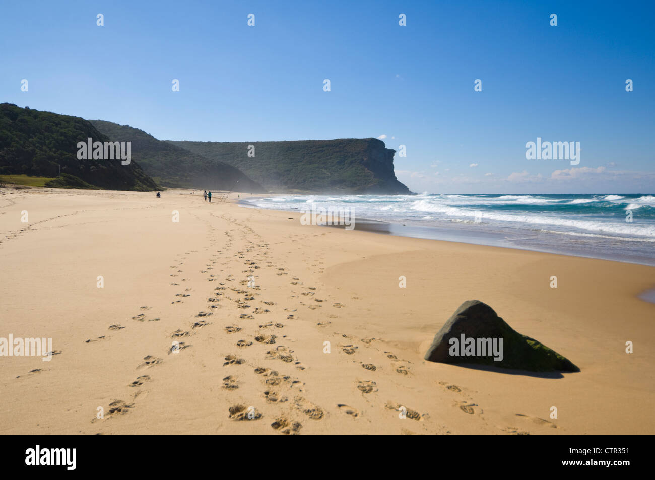 Royal National Park, Garie Beach, New South Wales, Australia Stock ...