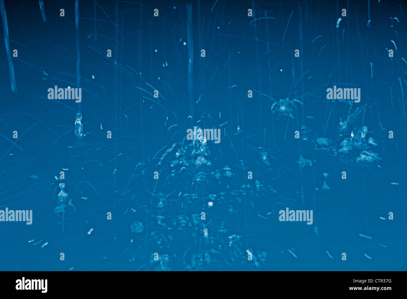 Aquatic backdrop hi-res stock photography and images - Alamy