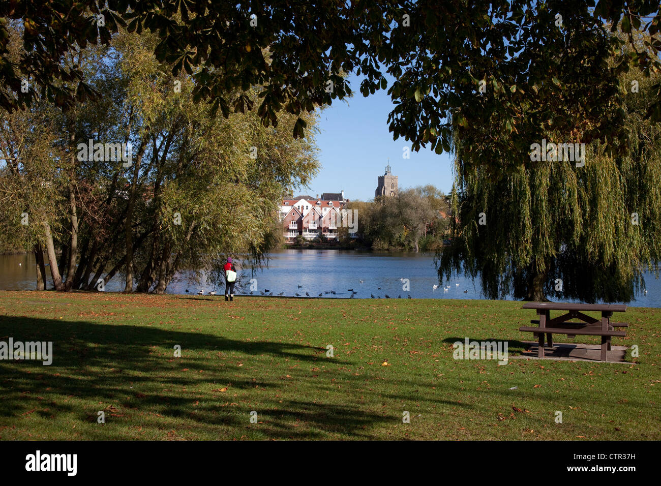 Diss norfolk hi-res stock photography and images - Alamy