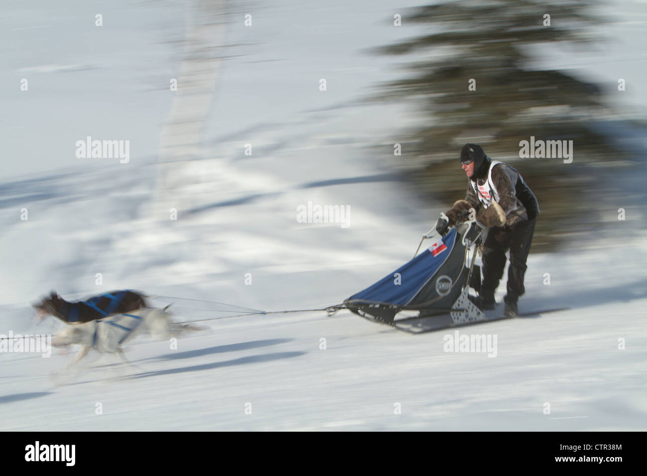 Musher races around curve Ambassador Drive on second day Fur Rondy ...