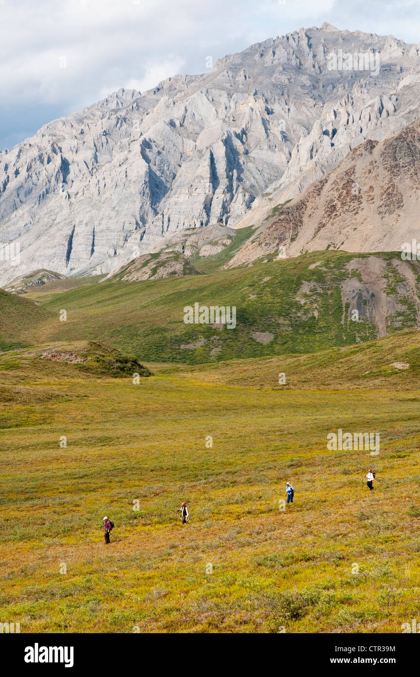 People walk in tundra hi-res stock photography and images - Alamy