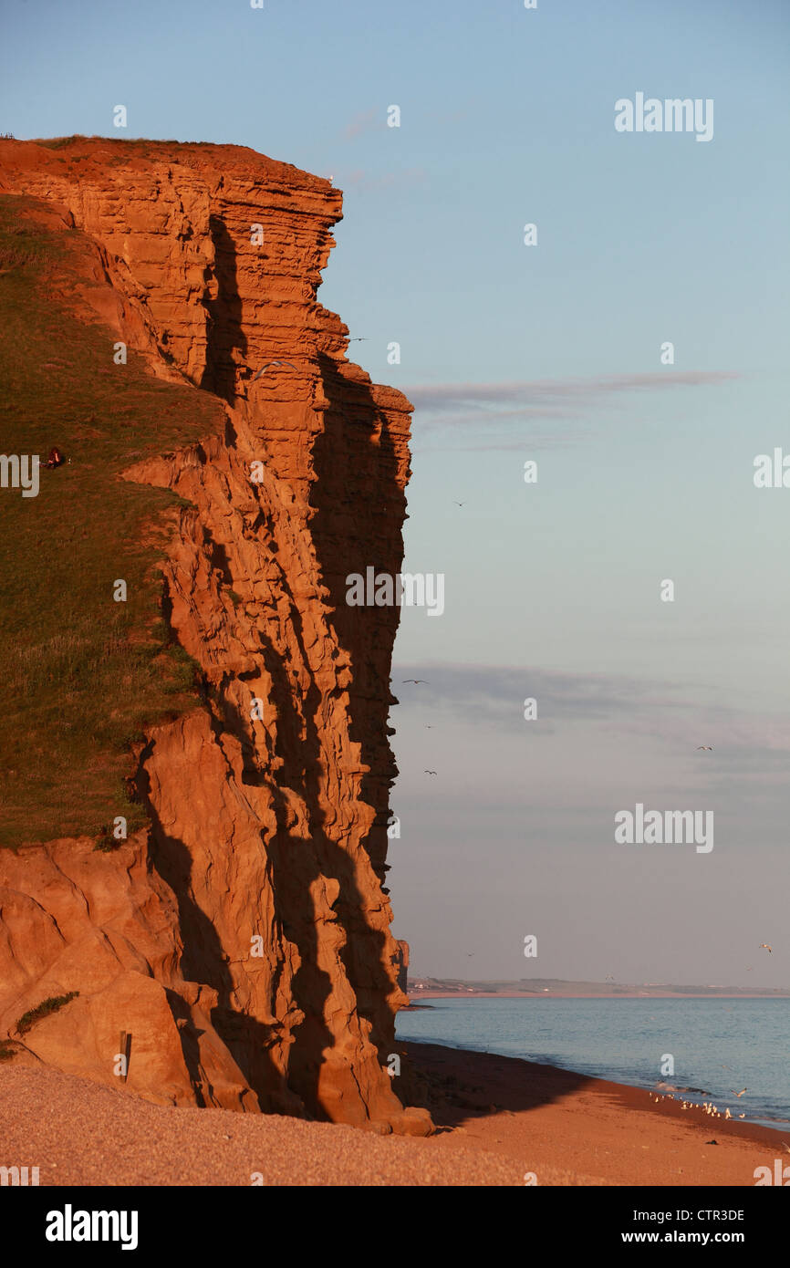 Cliffs at Golden Cap beach Stock Photo - Alamy
