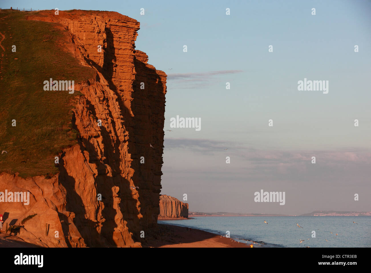 Cliffs at Golden Cap beach Stock Photo - Alamy