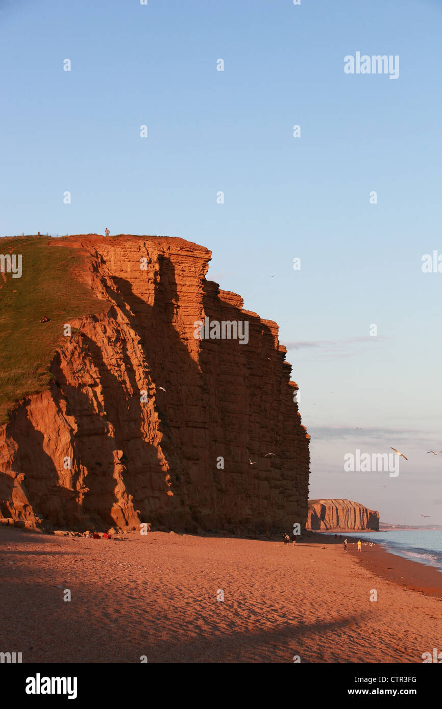 Cliffs at Golden Cap beach Stock Photo - Alamy