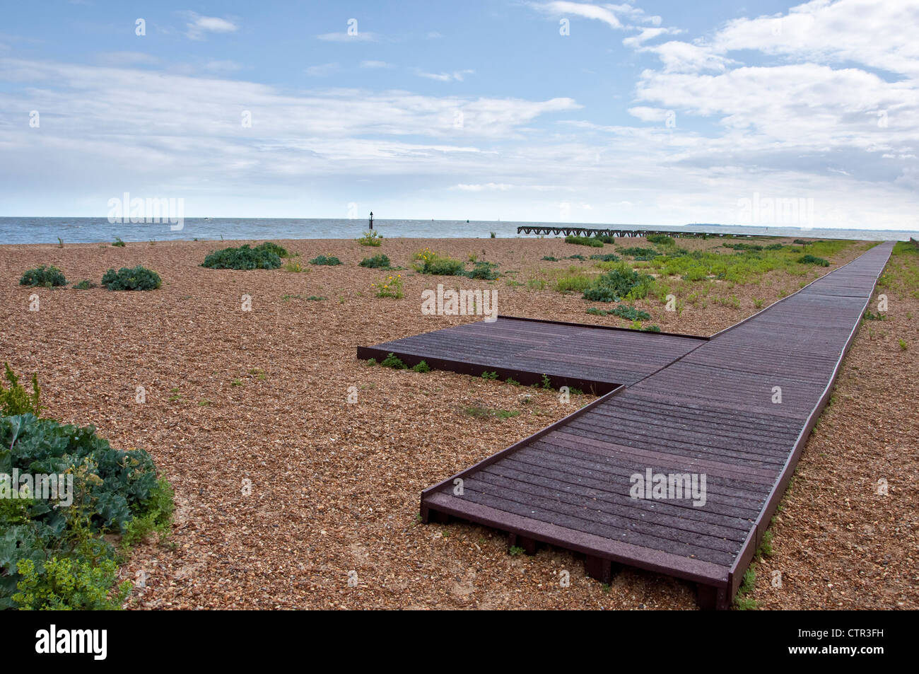 Landguard point nature reserve hi-res stock photography and images - Alamy