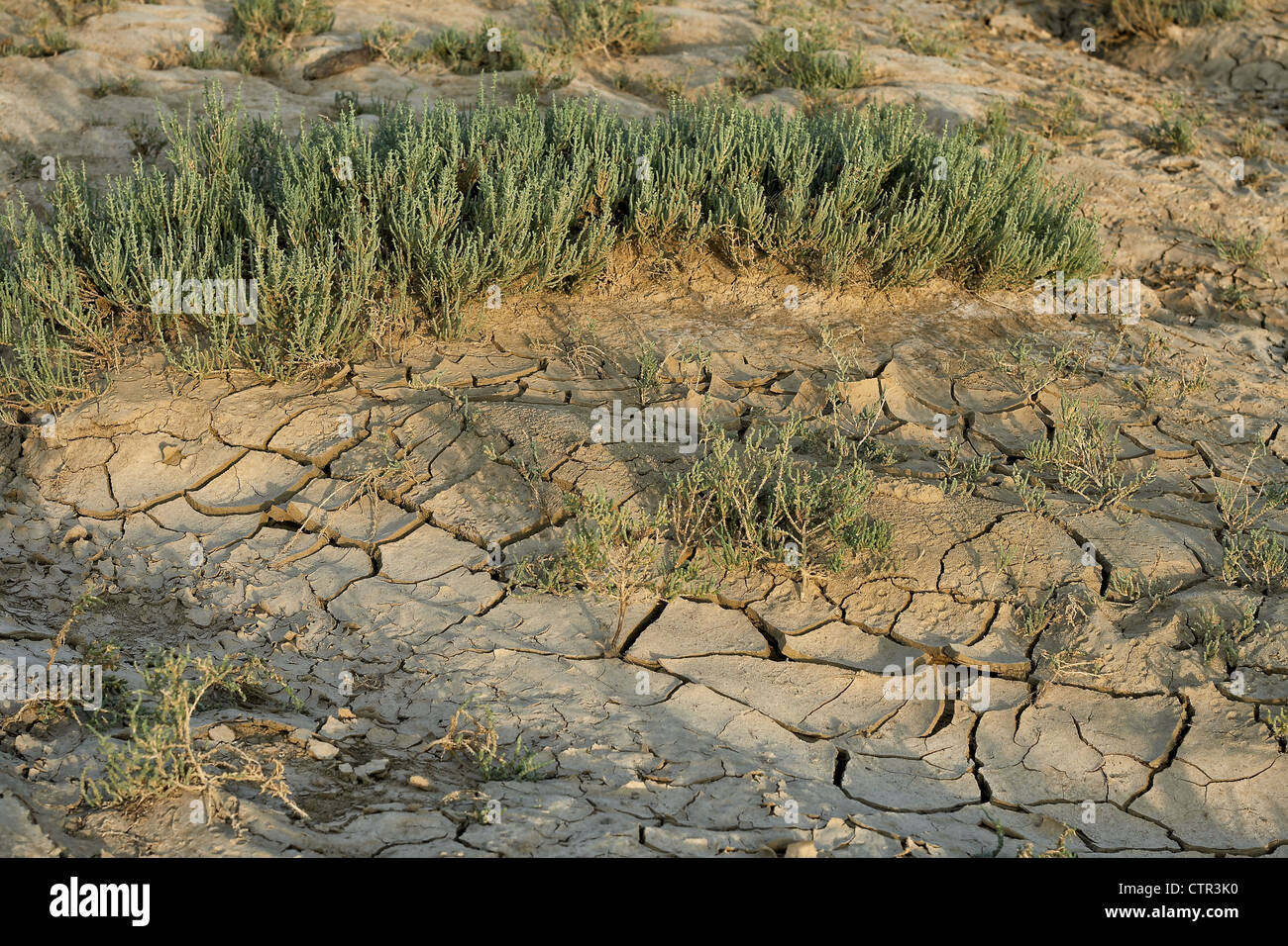 background, catastrophe, clay, climate, cracked, desiccated, detail ...