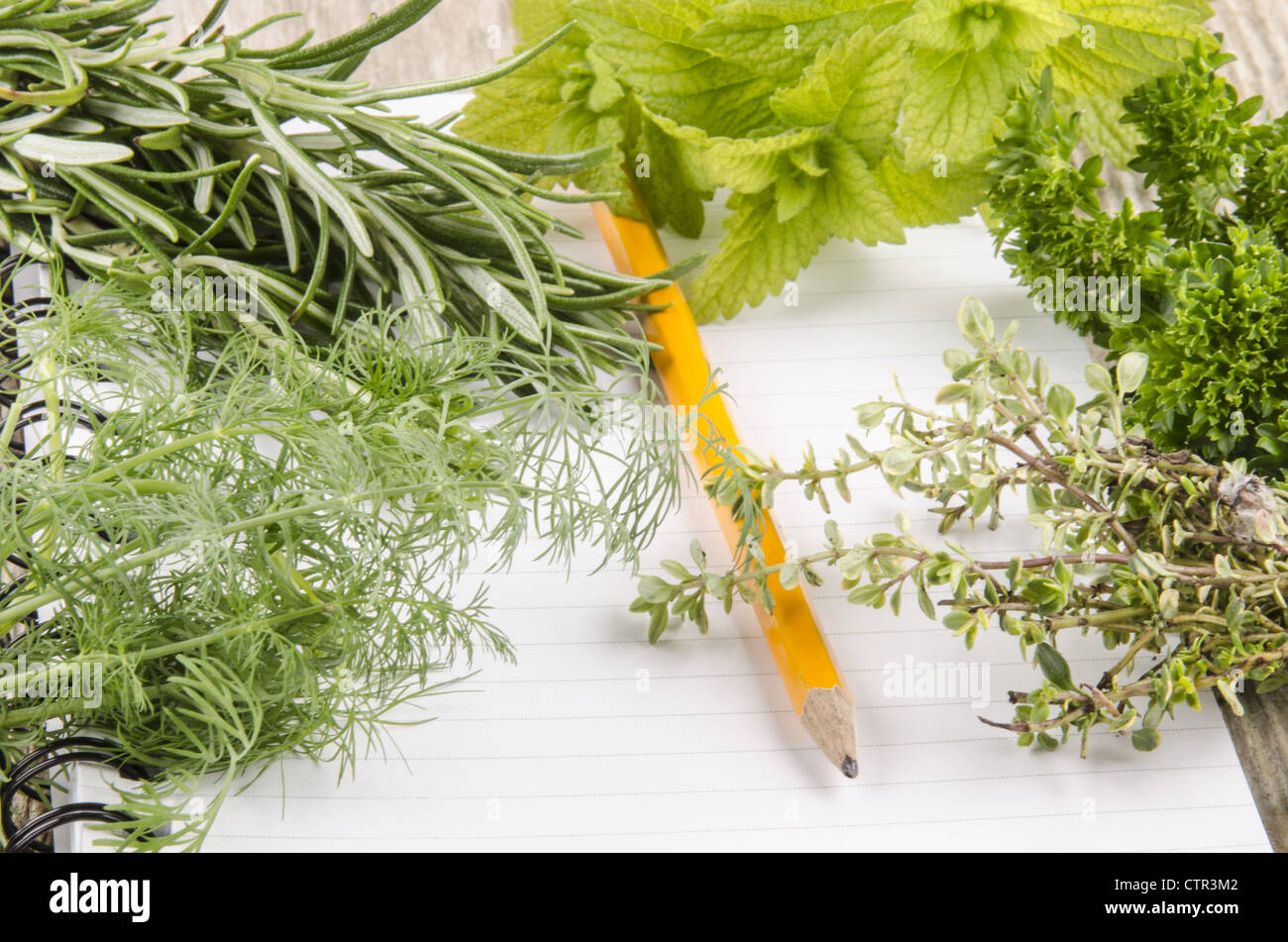 Herbal book hi-res stock photography and images - Alamy