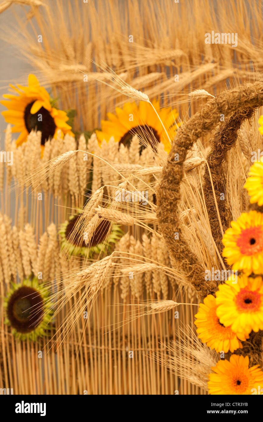 Moss covered framework hi-res stock photography and images - Alamy