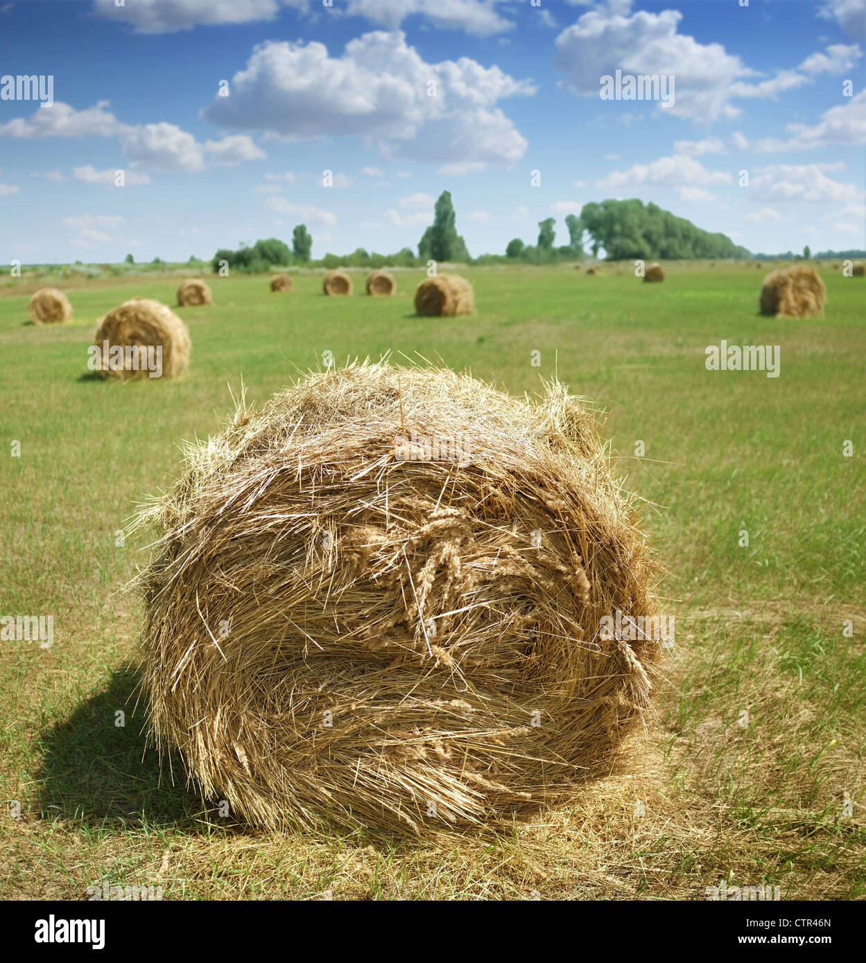 Haystacks on the field hi-res stock photography and images - Alamy