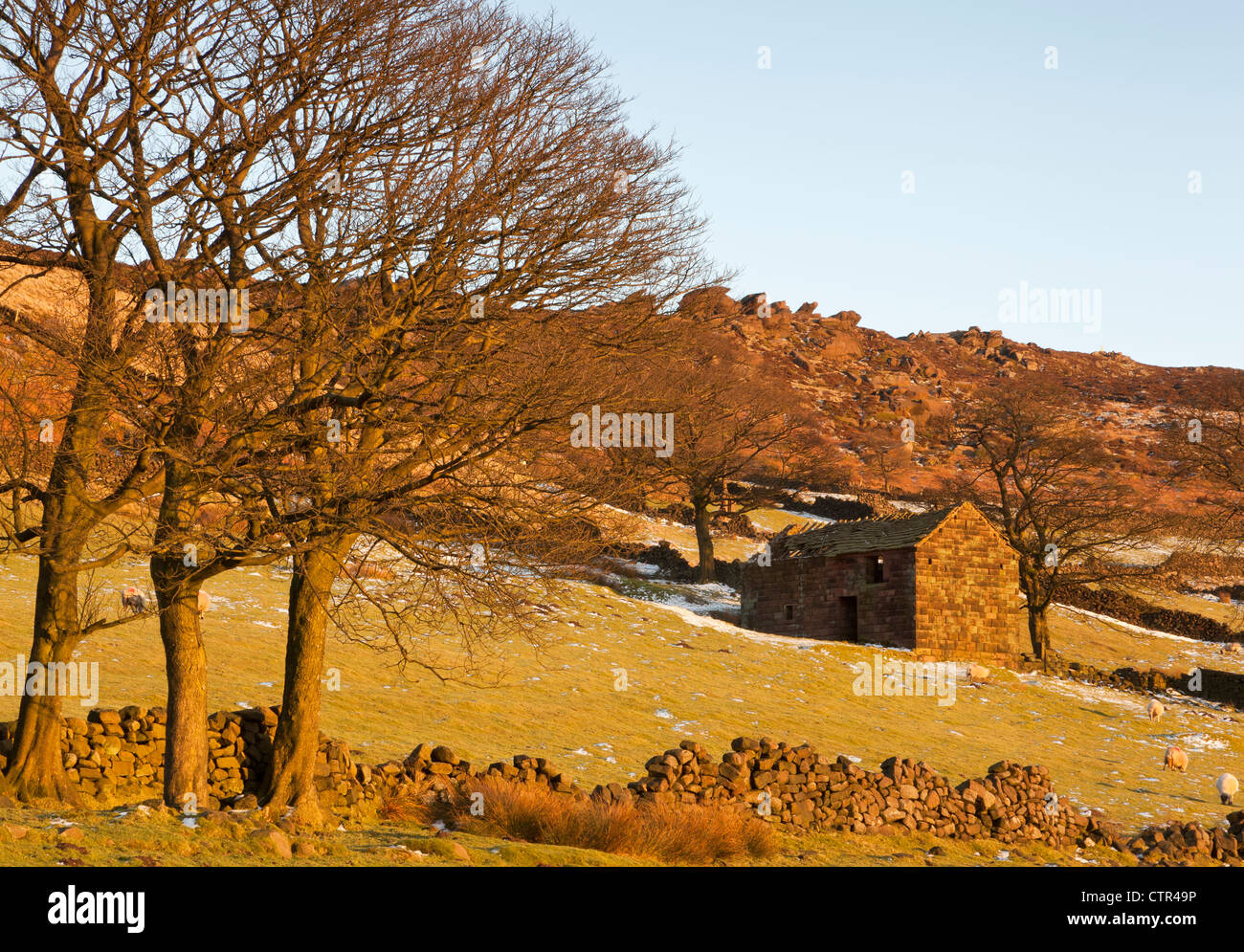 A derelict stone cottage below The Roaches, Staffordshire, UK Stock ...