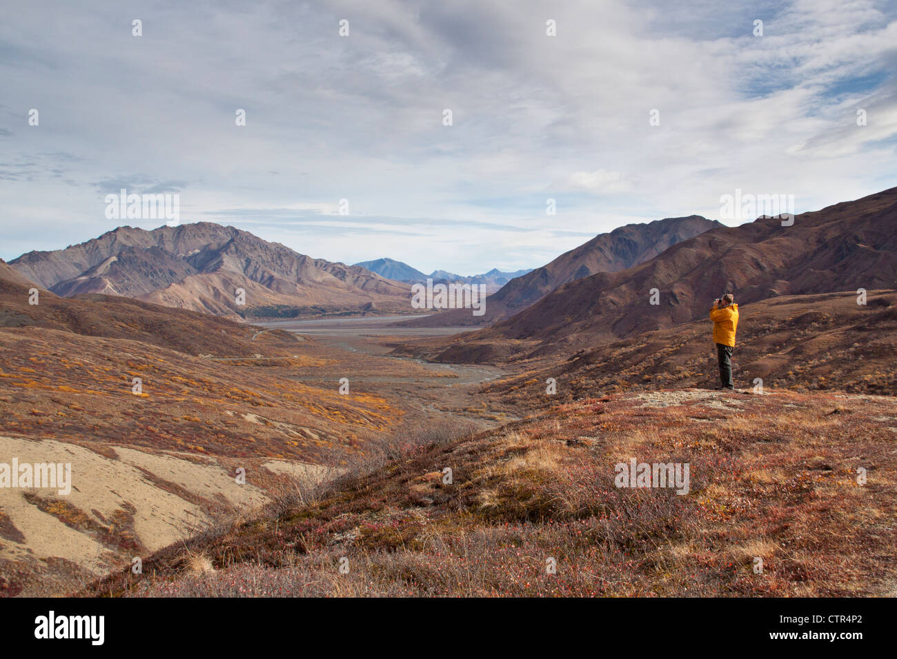 Man photographing scenic view near Polychrome Pass, Denali National ...