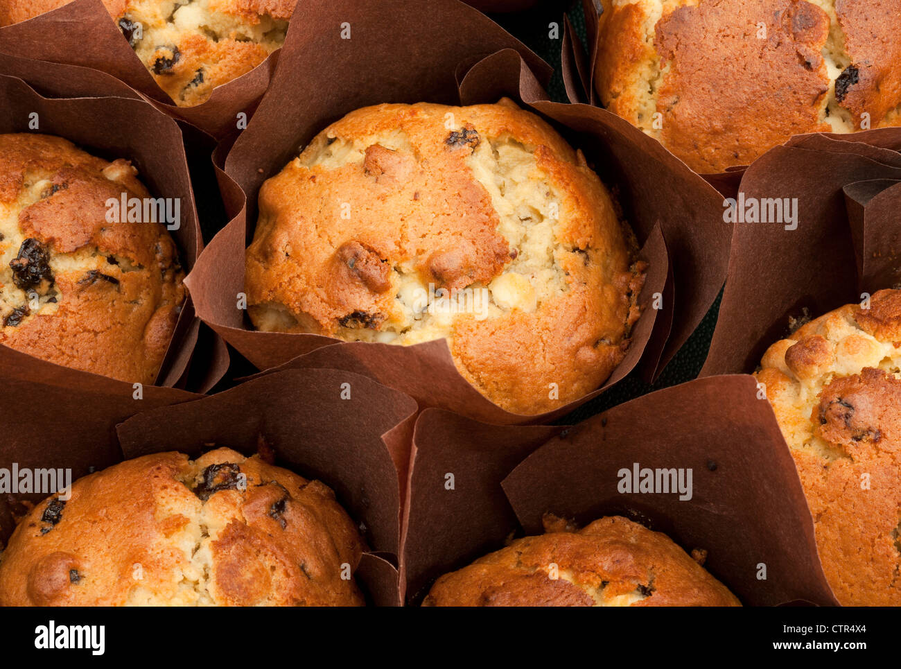 Currant bun cup cakes Stock Photo - Alamy