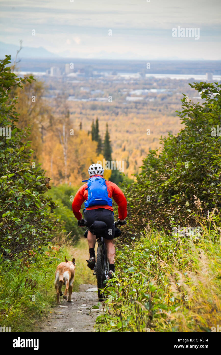 Man mountain biking with dog running beside him, Anchorage hillside ...