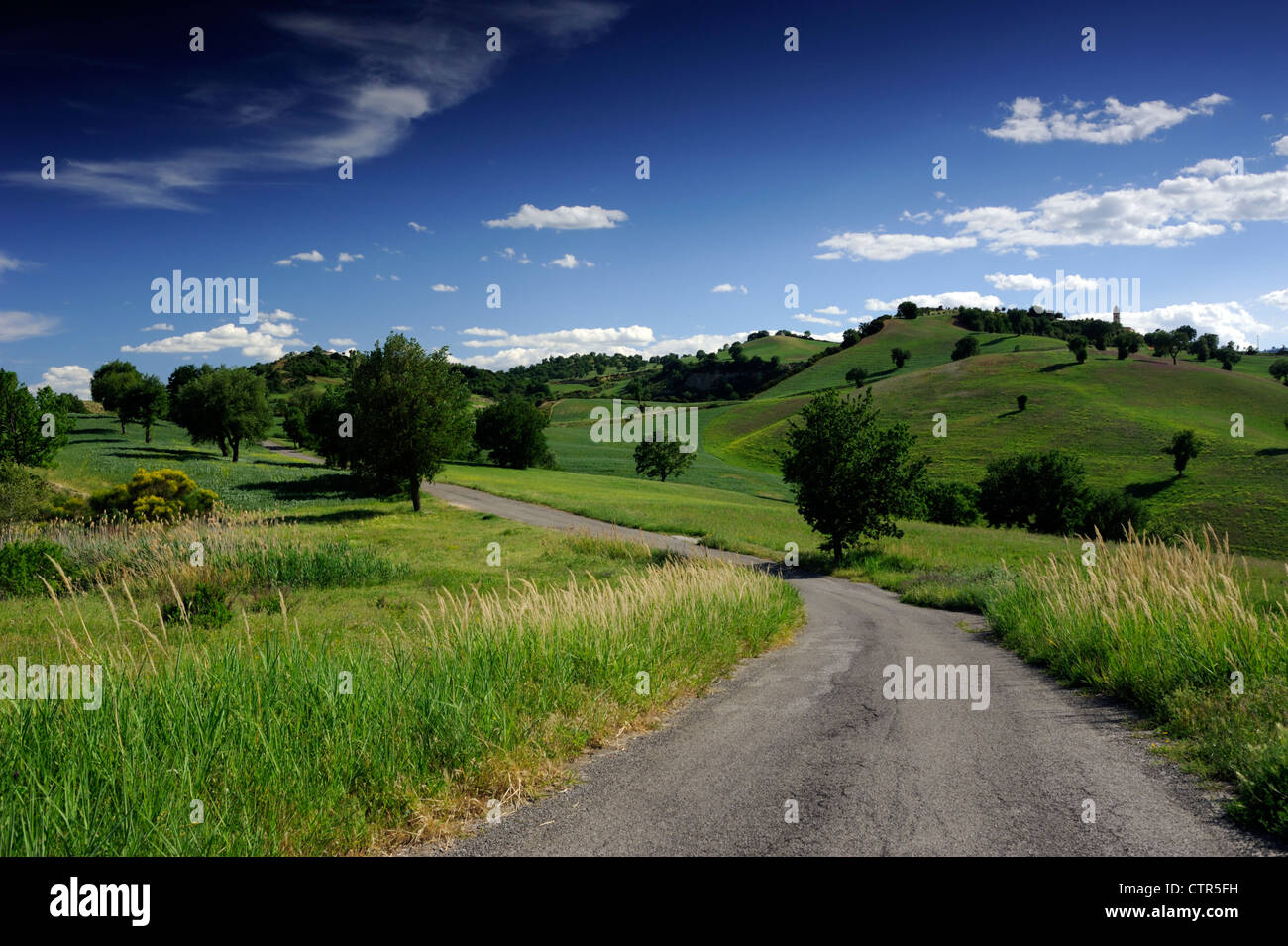 Italy, Basilicata, countryside road Stock Photo - Alamy