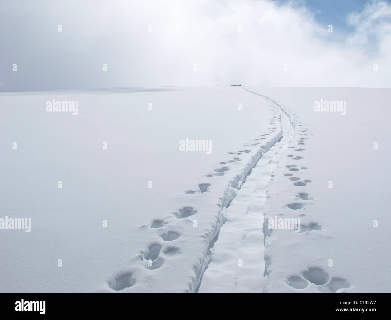 Path worn by climbers Camp 4 while mountaineering King Trench route on ...