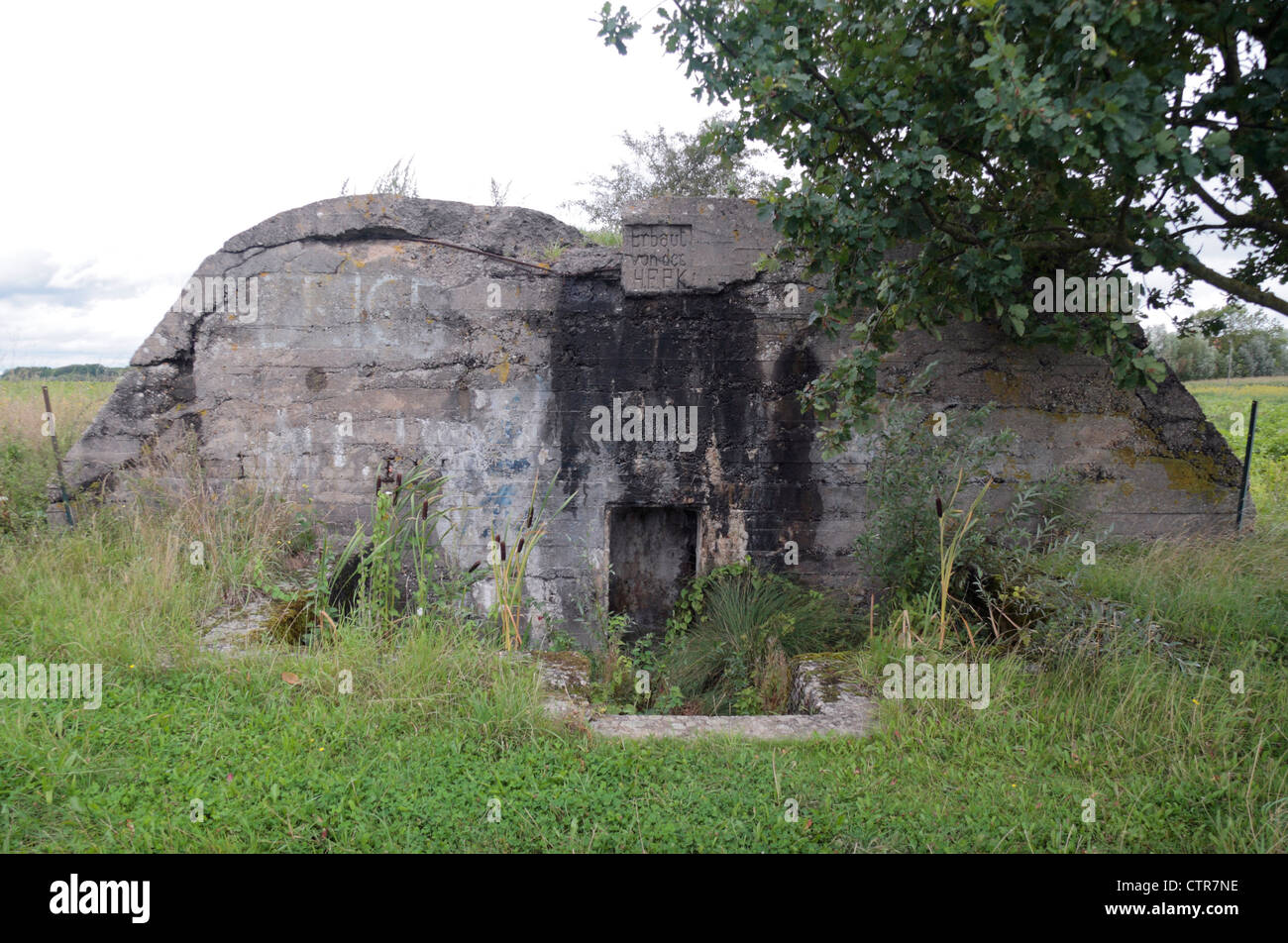 Bunker De Hitler Agora A última Confissão De Hitler: Disse Ao Piloto