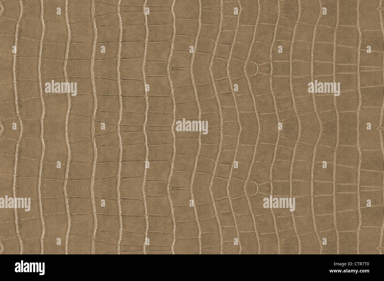 Crocodile Skin Pattern , Alligator skin seamless texture Stock Photo ...