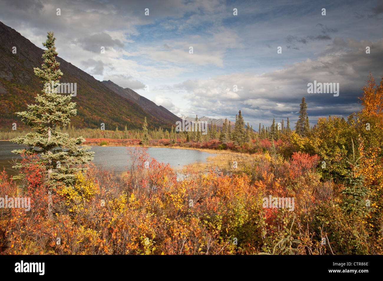 Landscape of Fall Colors with kettle pond along the Denali Highway near ...