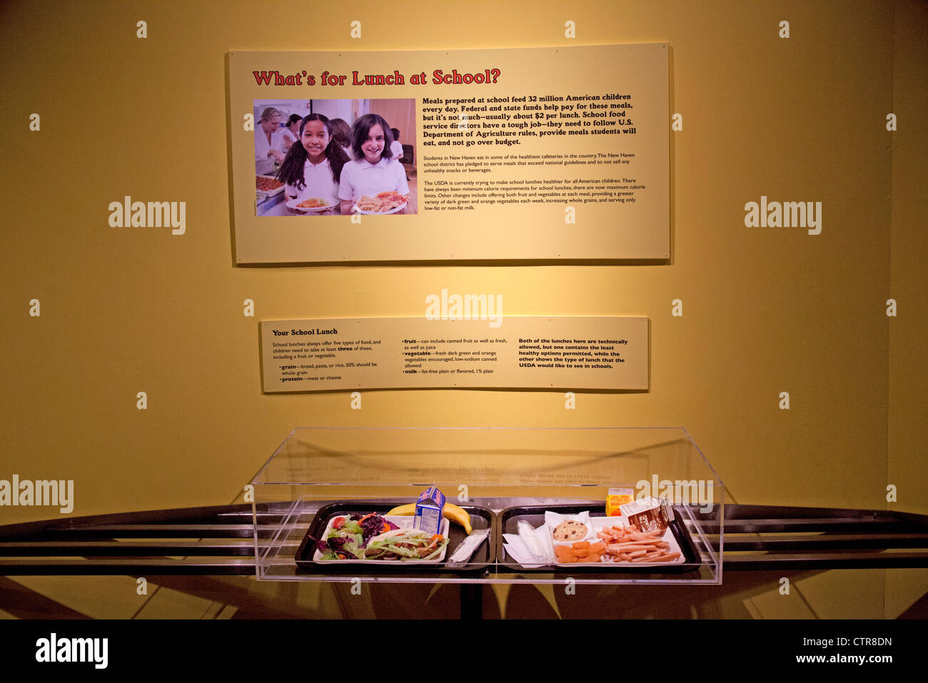 Yale Peabody Museum of Natural History food exhibit Stock Photo - Alamy