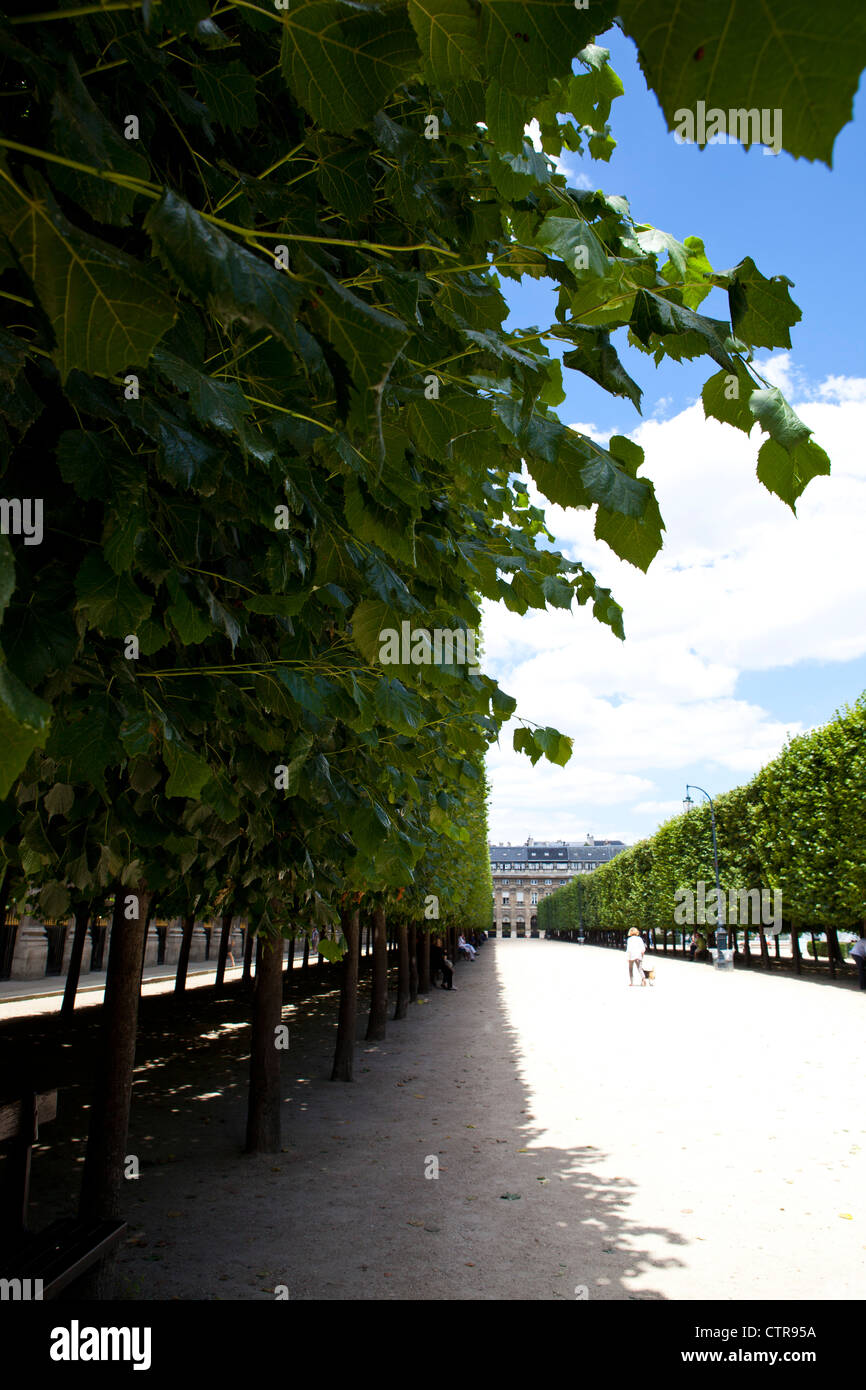 Wine park paris hi-res stock photography and images - Alamy