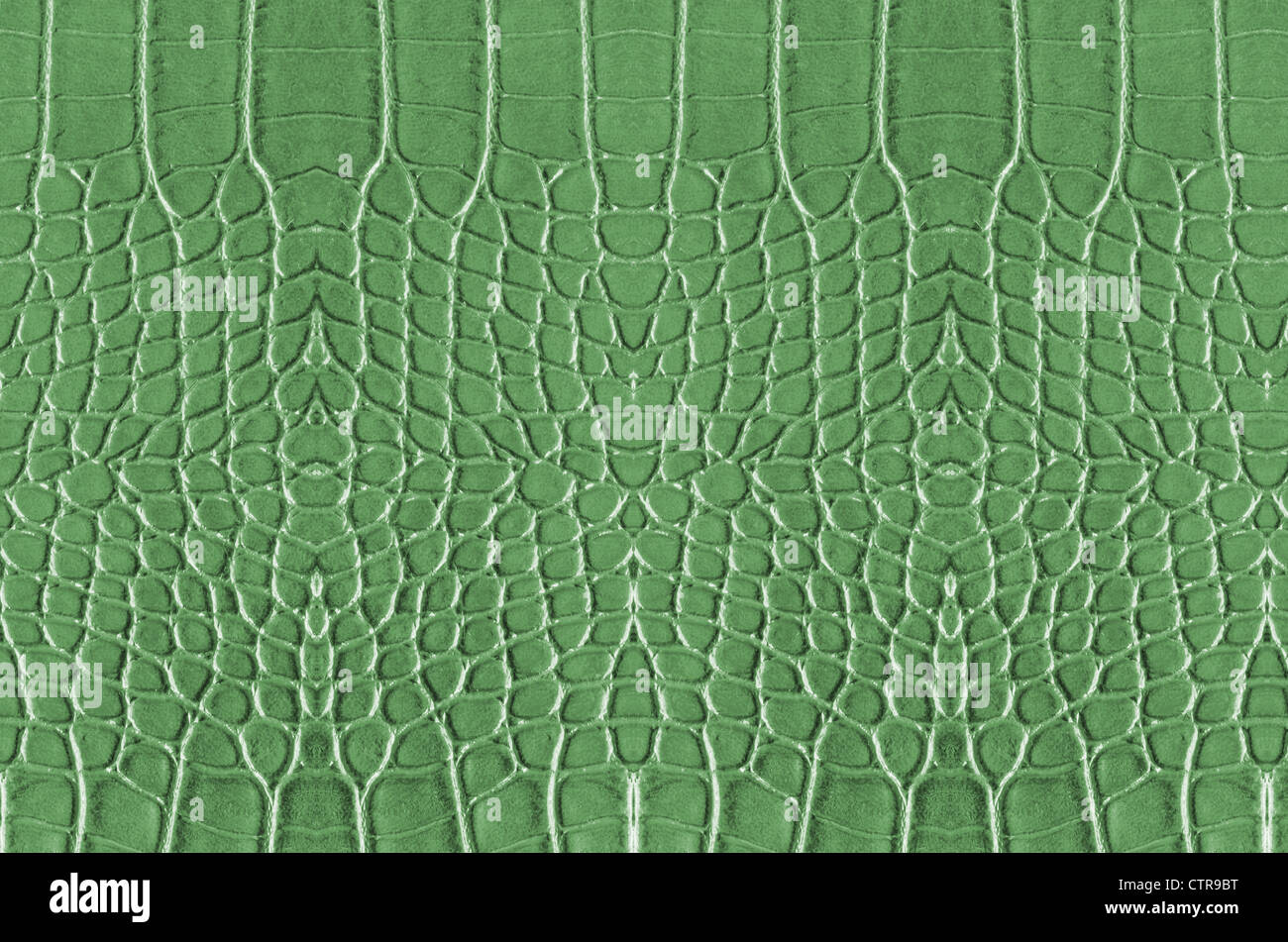 Crocodile Skin Pattern , Alligator skin seamless texture Stock Photo ...