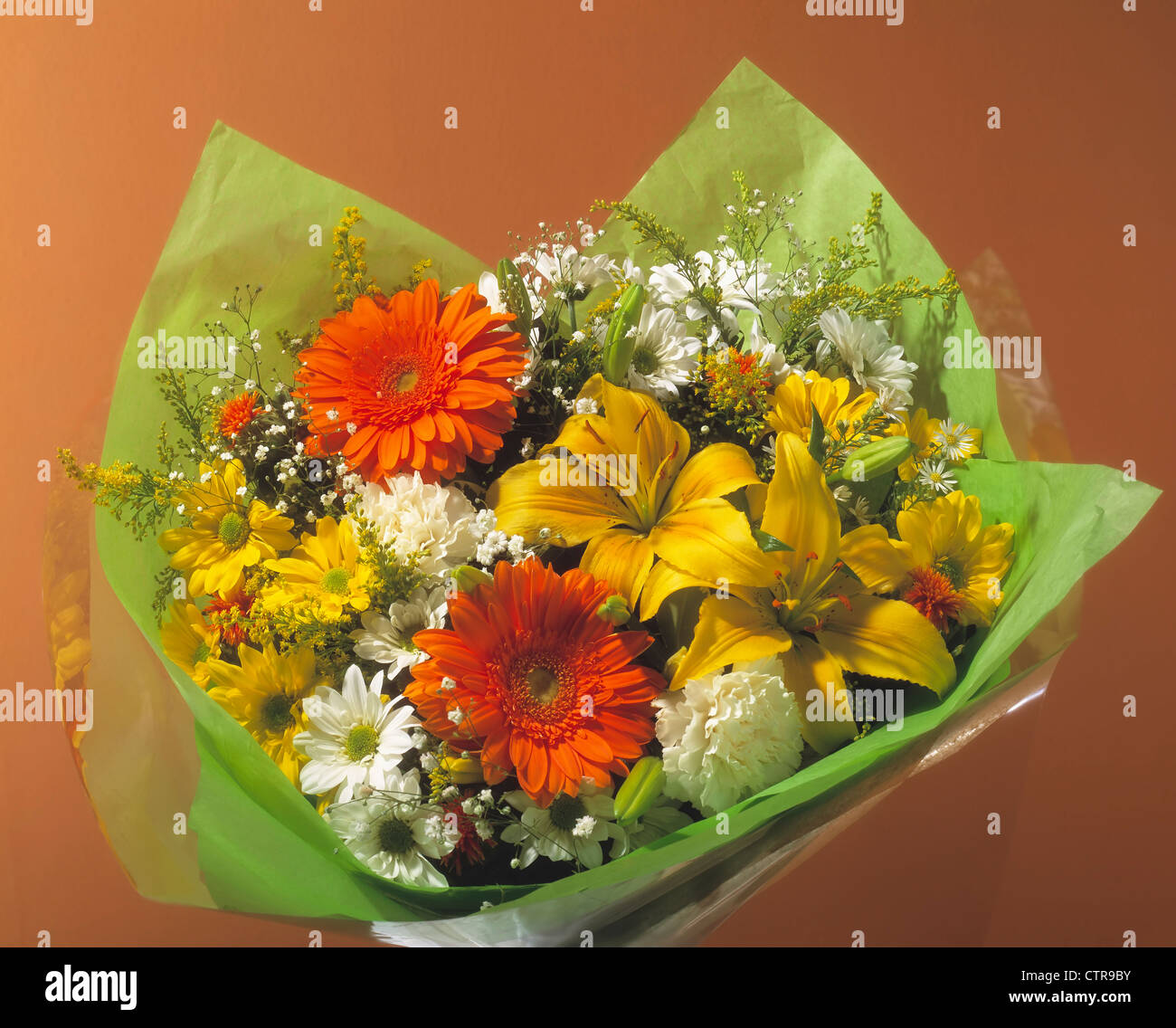 Gerbera cultivar, Gerbera, Mixed colours, Orange Stock Photo - Alamy
