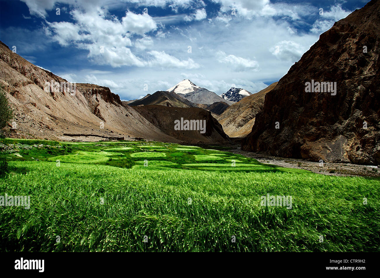 Indus valley hi-res stock photography and images - Alamy