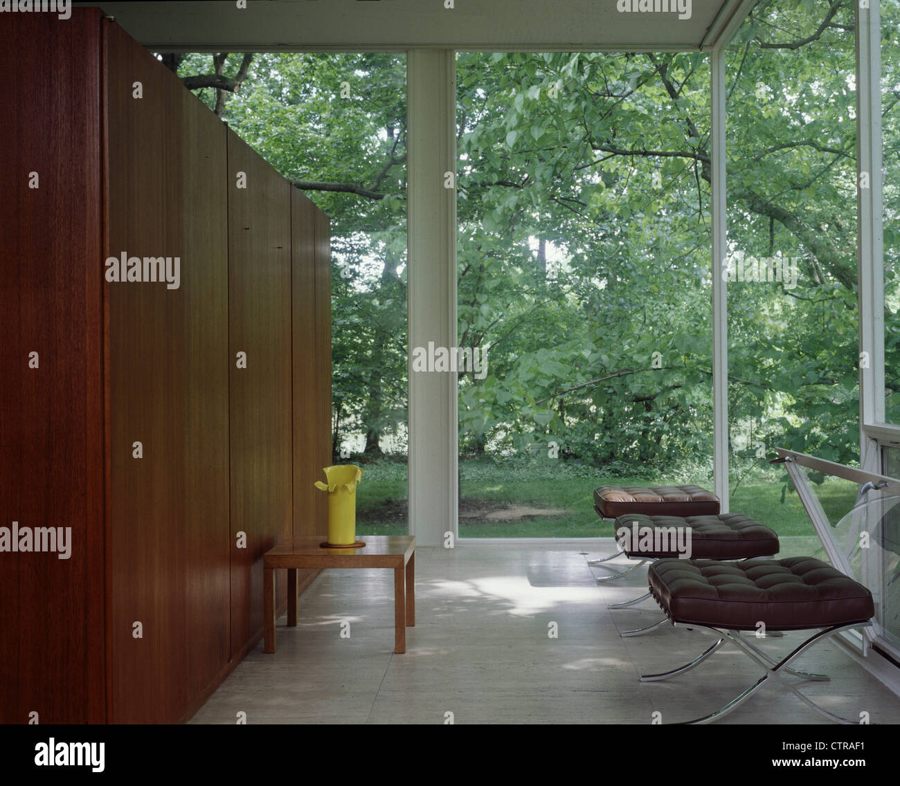 Farnsworth House Interior Plan