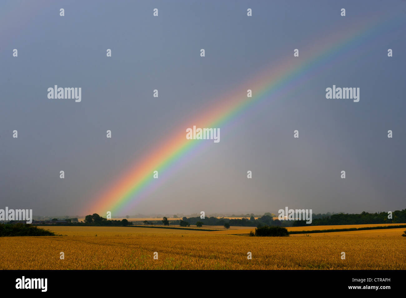 Rainbow over Wheat in Cambridgeshire, England, UK. July 2012 A rainbow ...