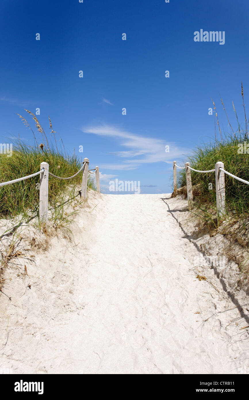Beach path, dune vegetation on the beach section of South Pointe Park ...