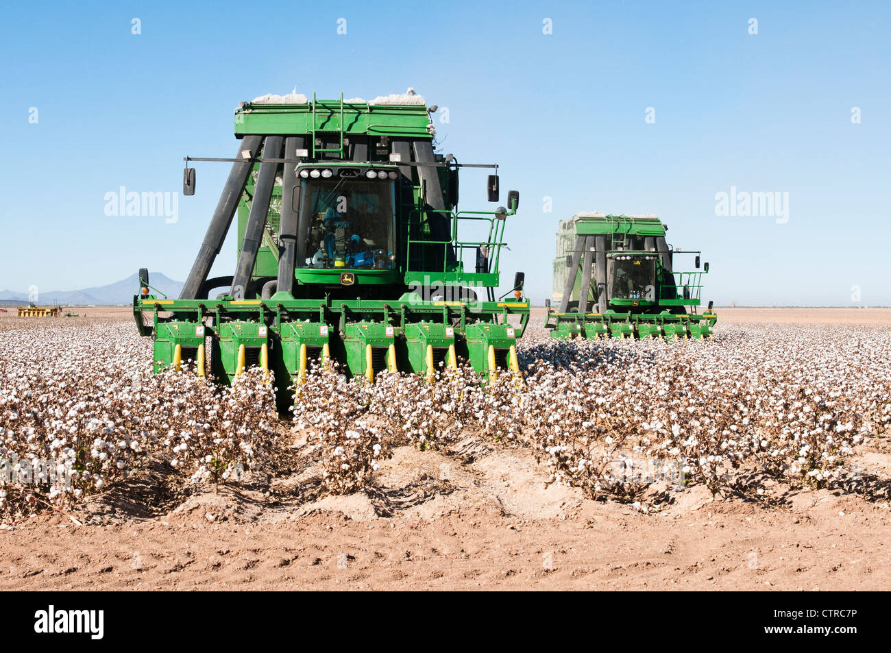 A pair of cotton picking machines harvest a cotton field in Arizona ...