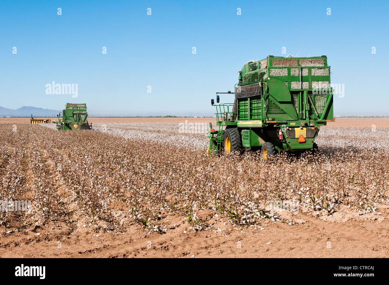 A pair of cotton picking machines harvest a cotton field in Arizona ...
