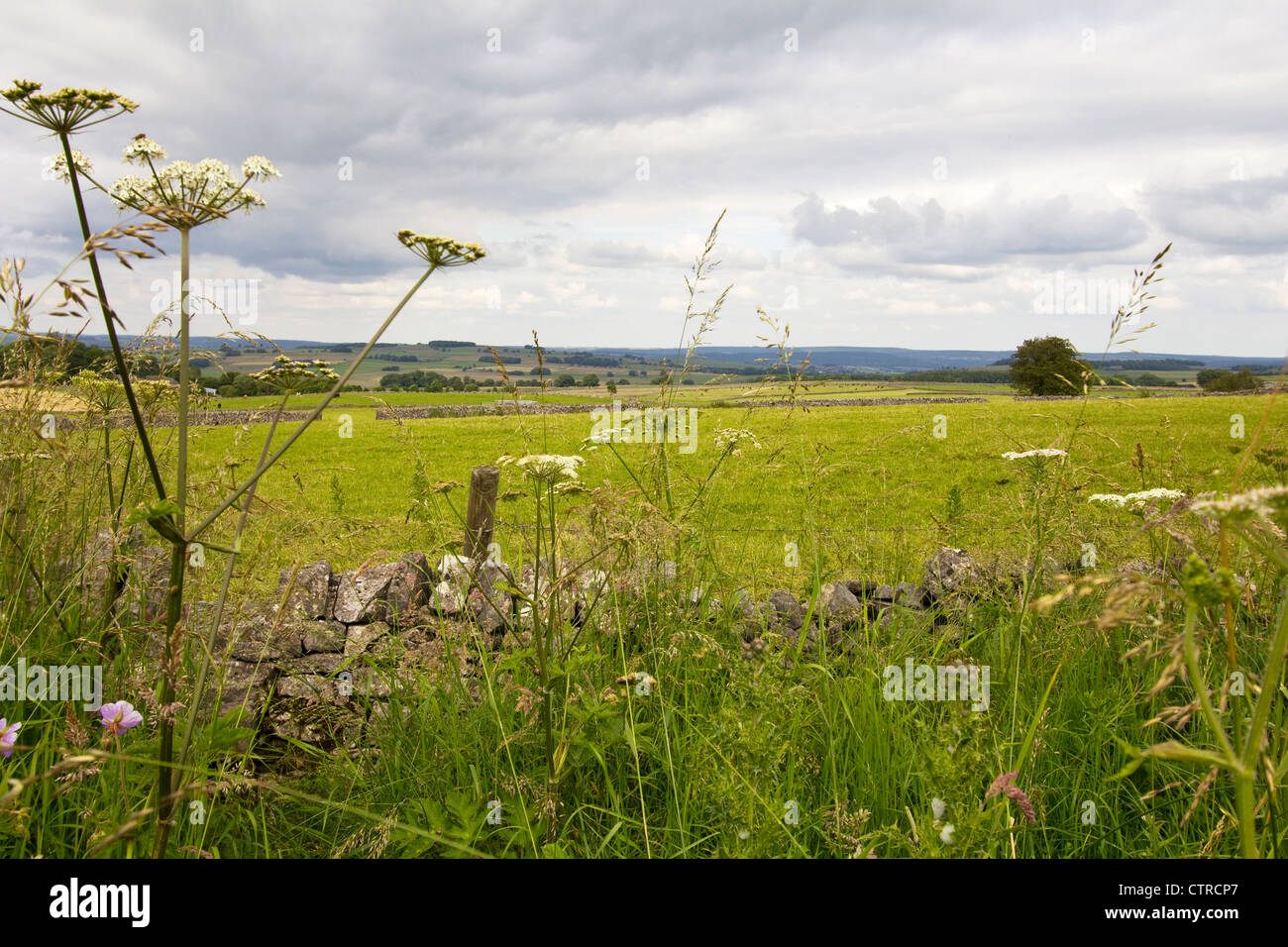 Open fields, Derbyshire, England, UK Stock Photo - Alamy