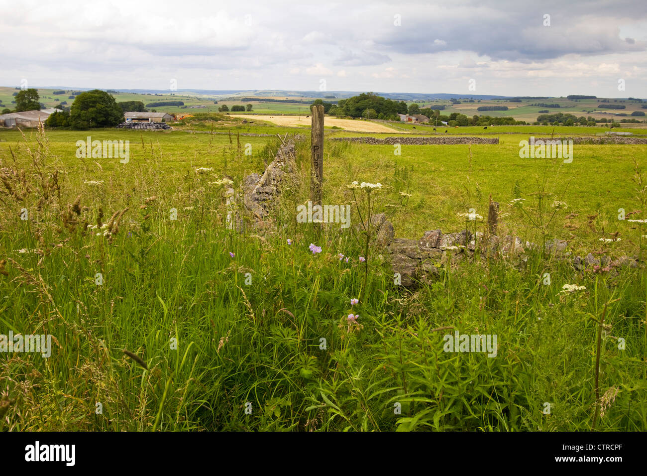 Open fields, Derbyshire, England, UK Stock Photo - Alamy
