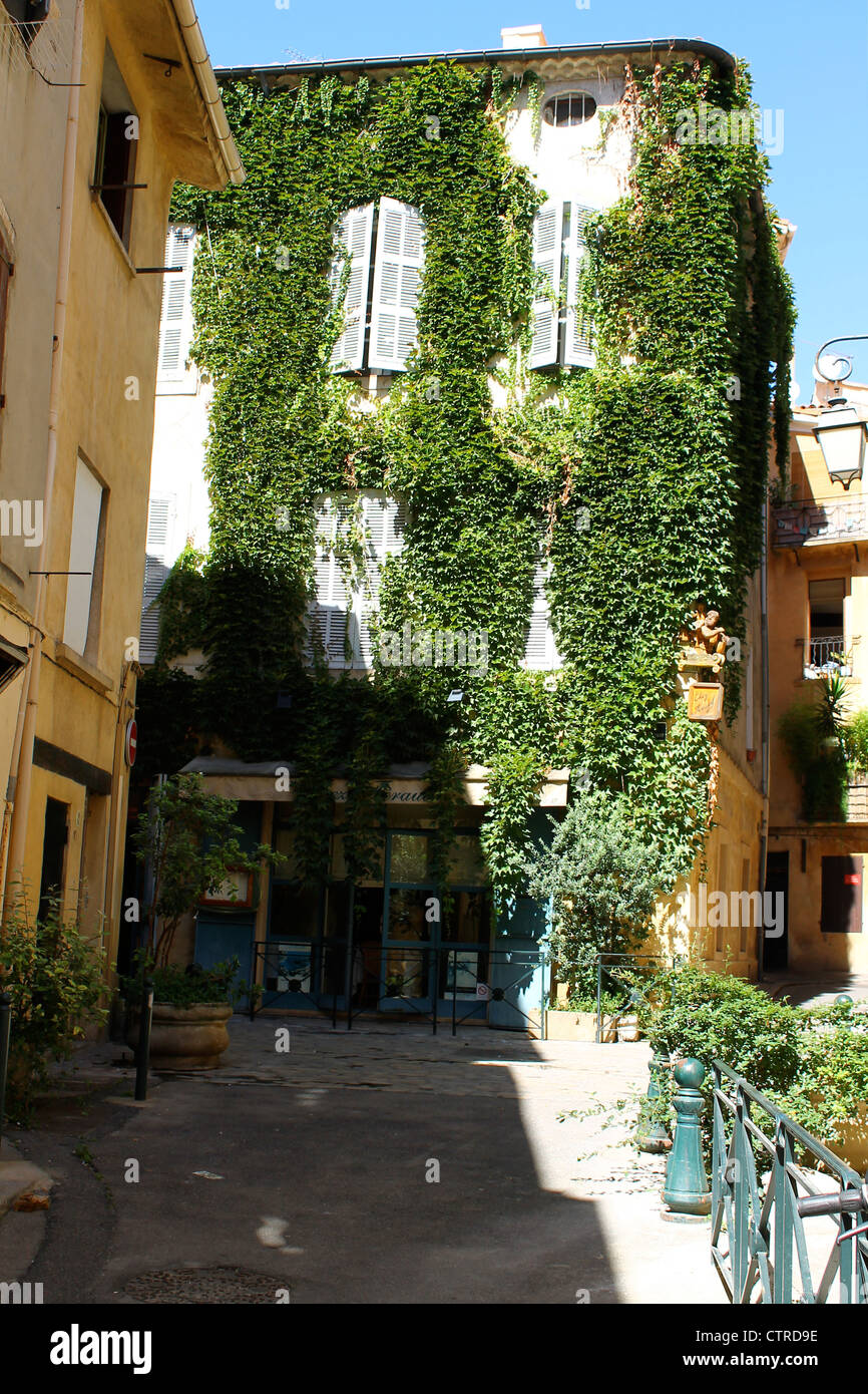 Vines on building hi-res stock photography and images - Alamy