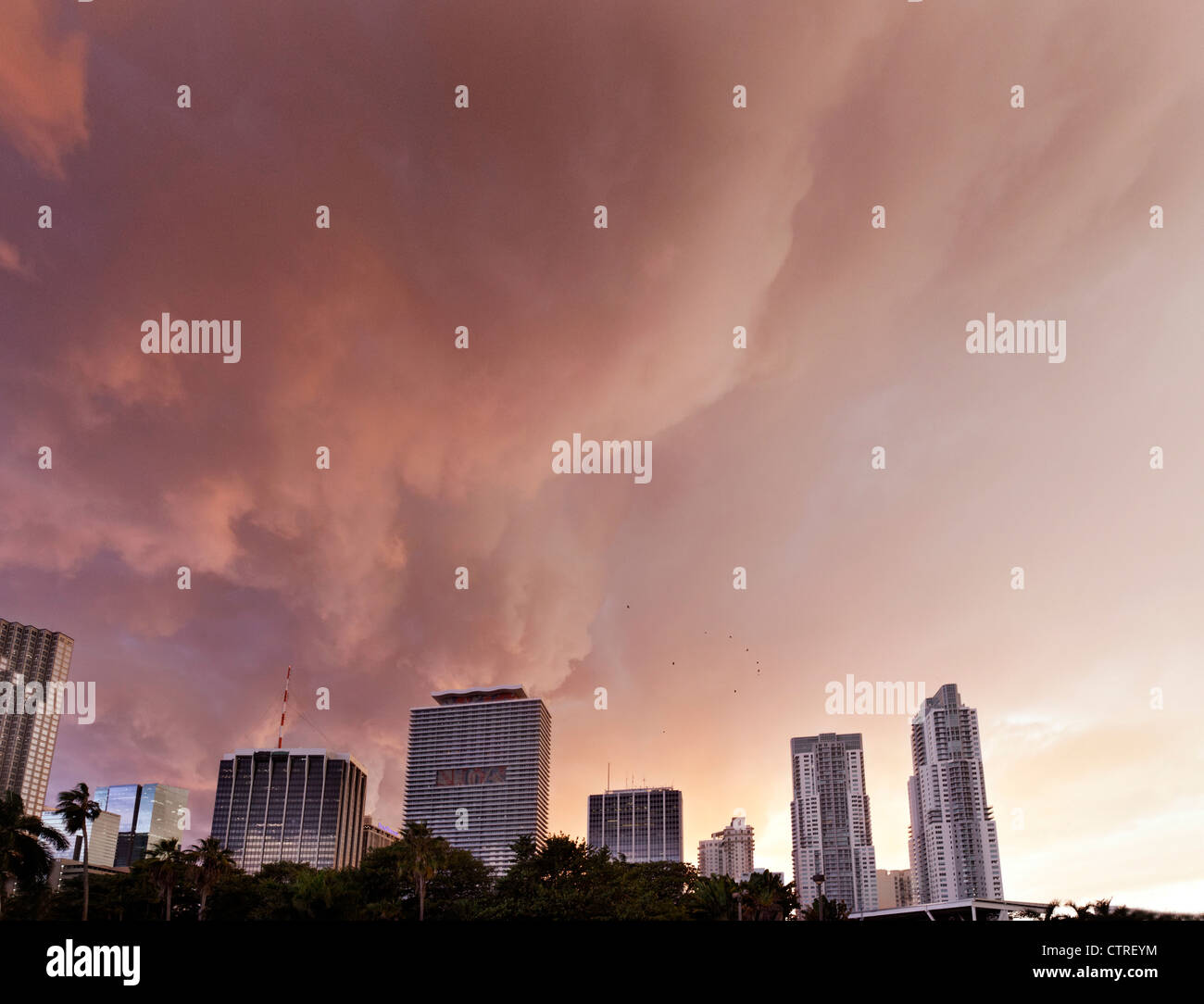 Threatening clouds, thunderstorm over skyline of downtown Miami ...