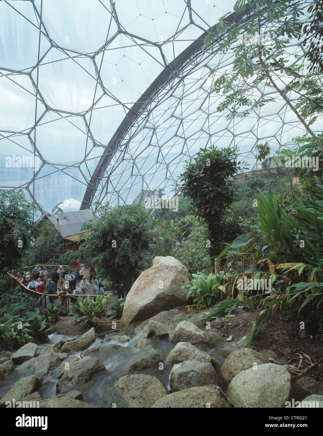 eden project portrait interior inside humid tropics biome view down ...