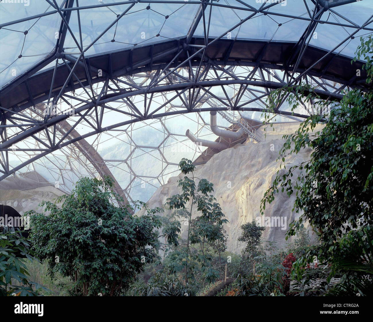 eden project landscape interior inside humid tropics biome towards ...