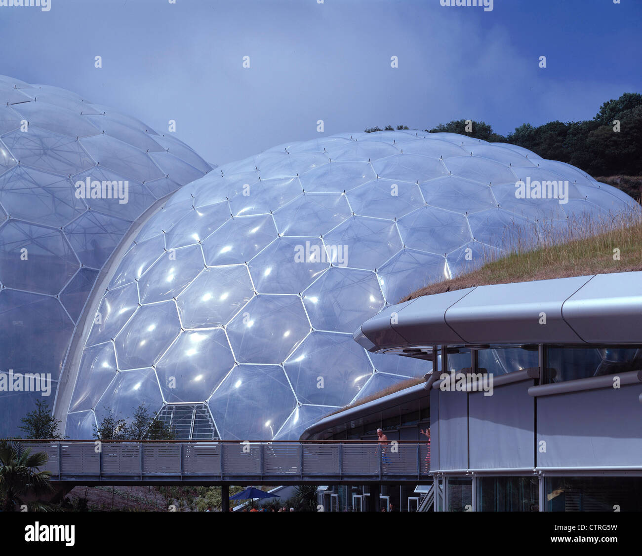 eden project detail Stock Photo - Alamy
