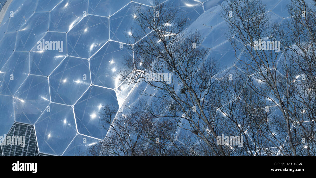 eden project side view of main dome through trees Stock Photo - Alamy