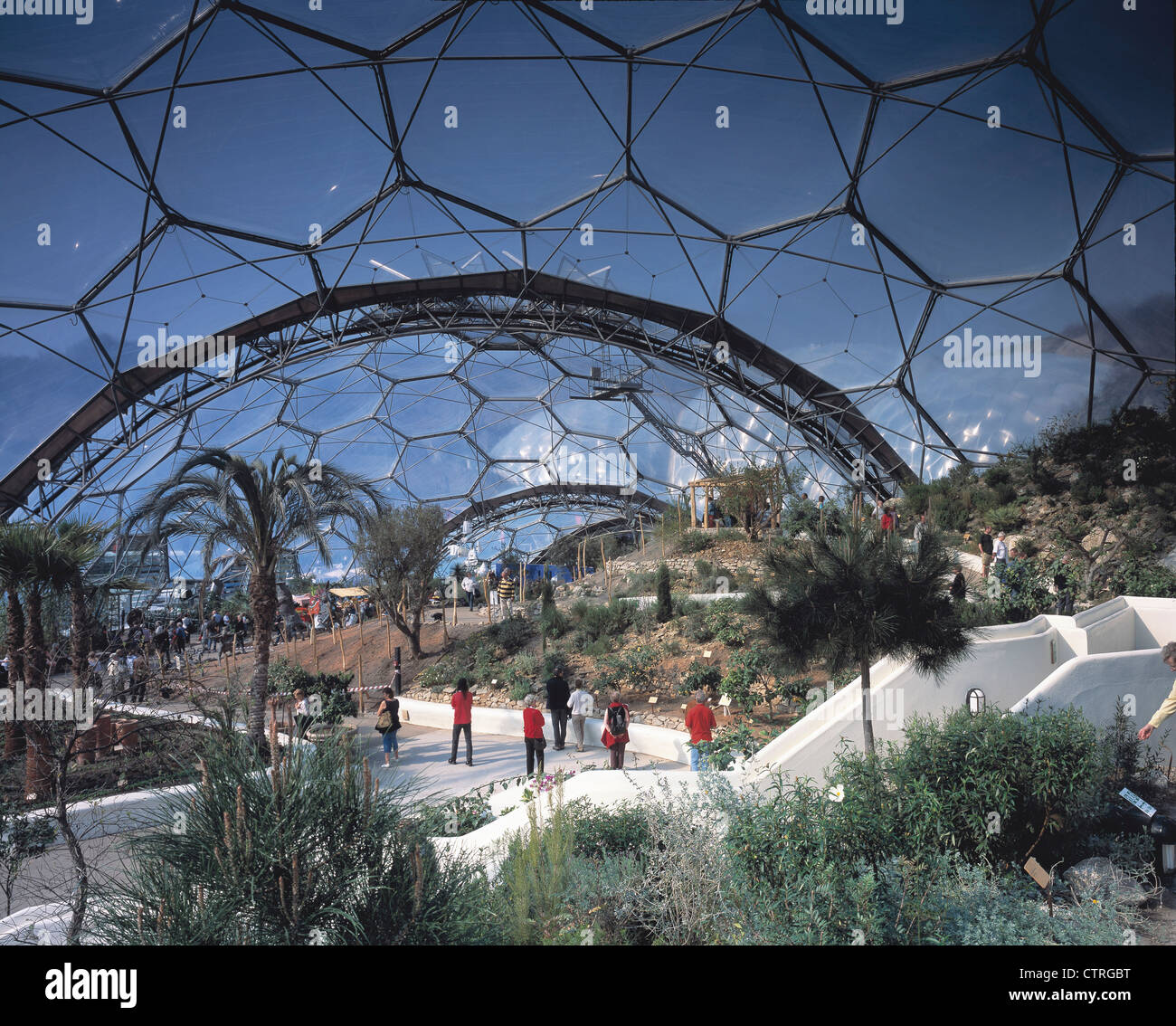 eden project overall view in smaller dome Stock Photo - Alamy