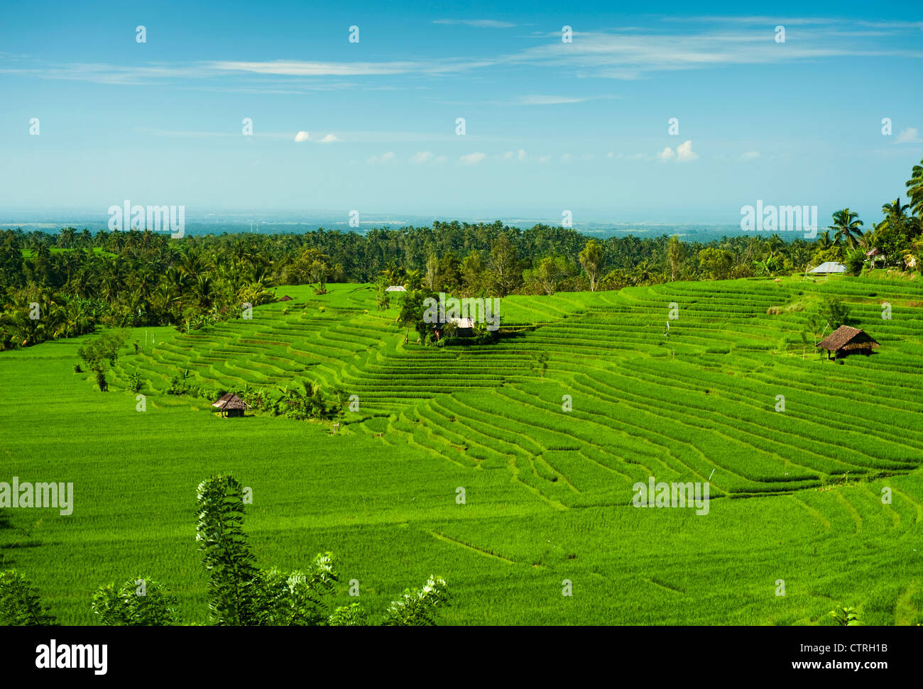 Belimbing, Bali is where you can see some of the most spectacular ...